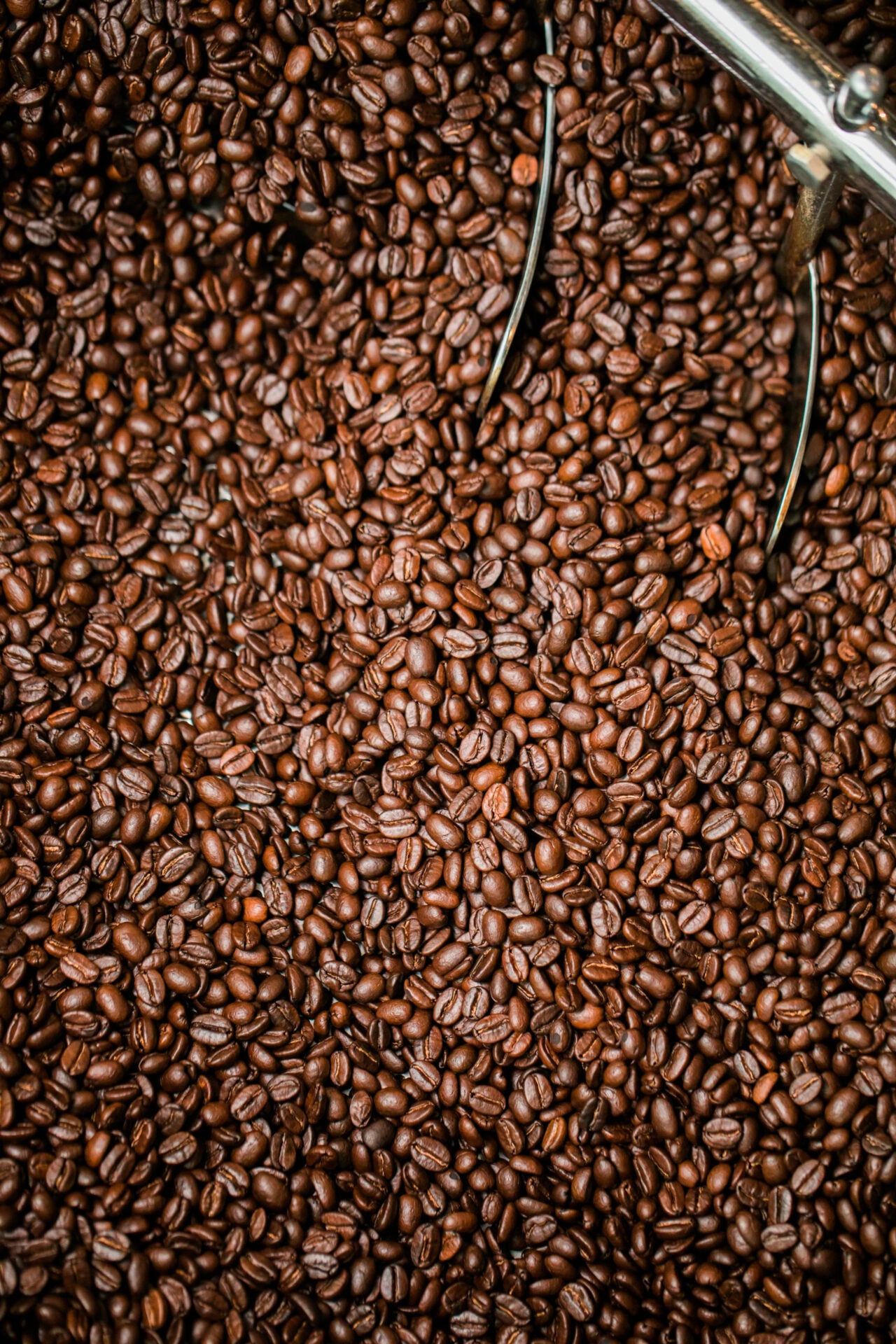 Introducing Starbucks Sunsera Blend coffee - About Starbucks