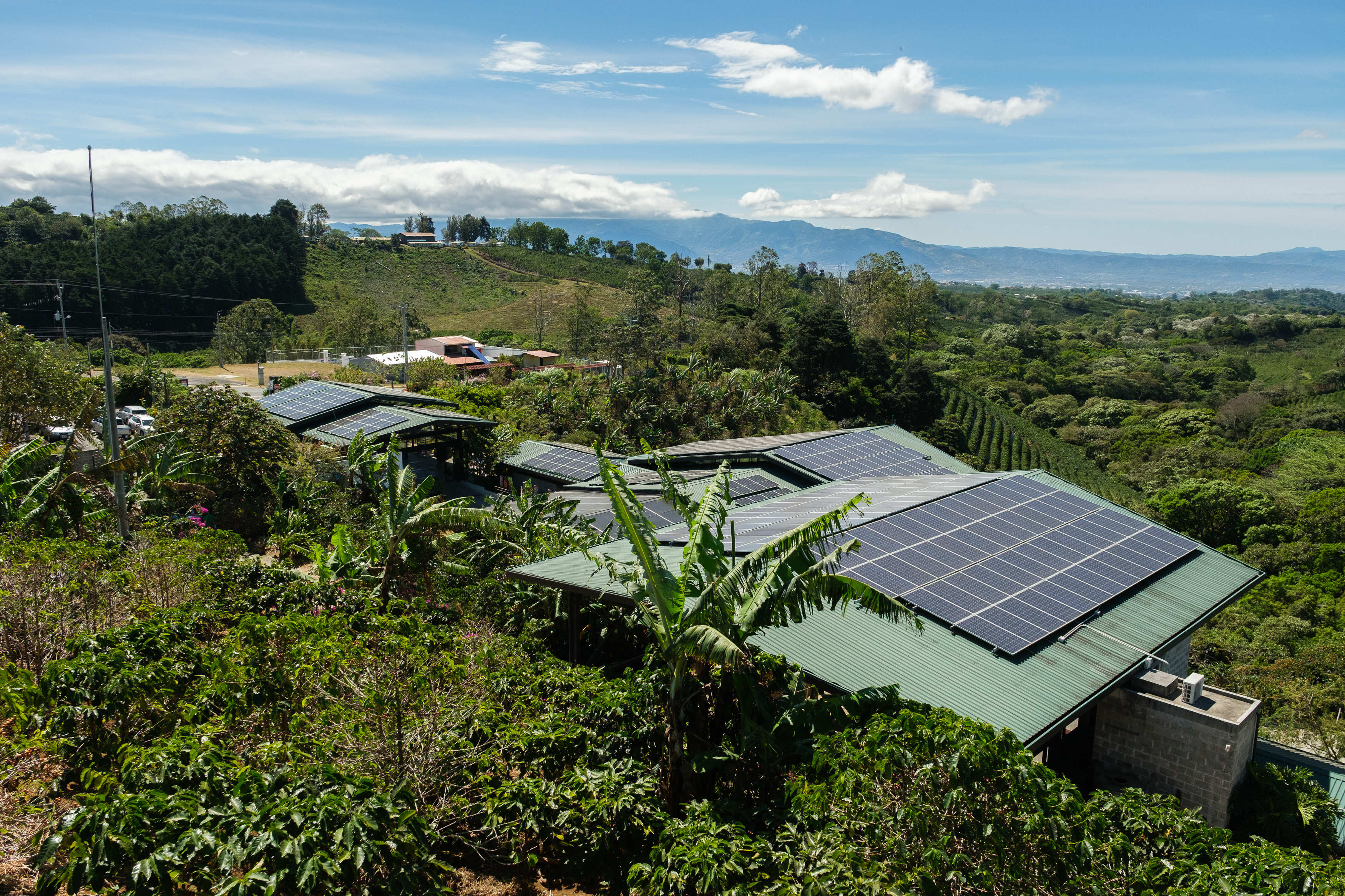 Starbucks Expande Programa Global de Greener Stores; Anuncia Primeras ...