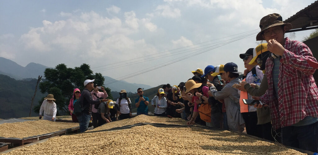 Yunnan coffee is culmination of years of partnership