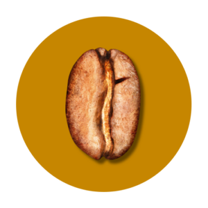 Starbucks® Coffee roast spectrum explained - Starbucks Canada