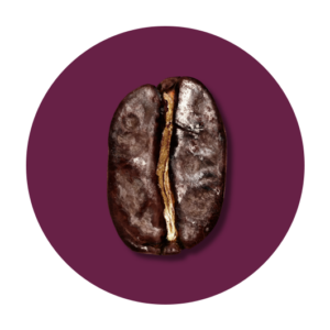 Starbucks® Coffee roast spectrum explained - Starbucks Canada